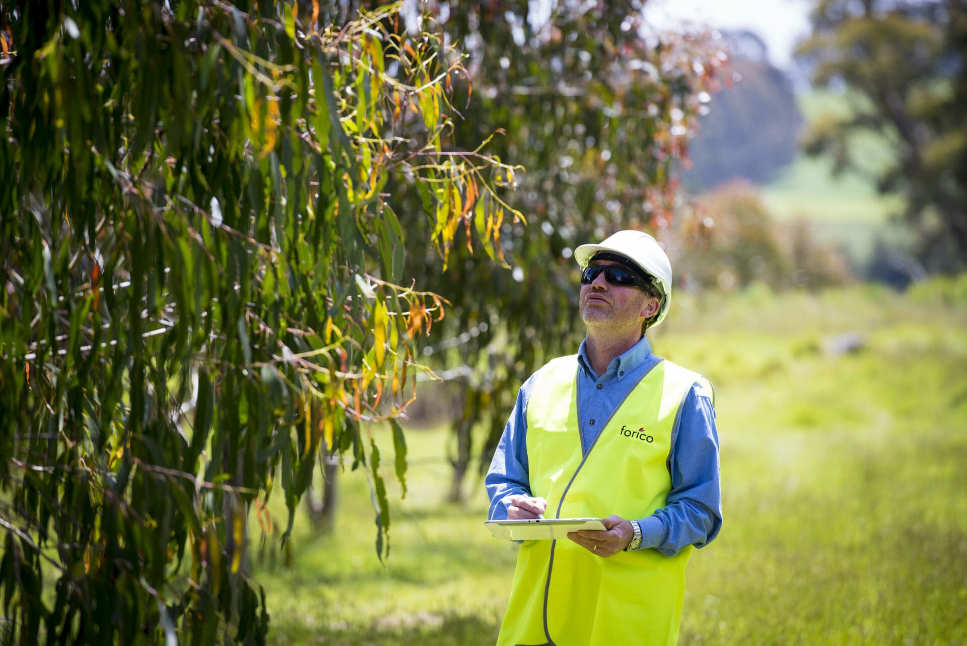 Forico release world-leading and Australian first Natural Capital ...