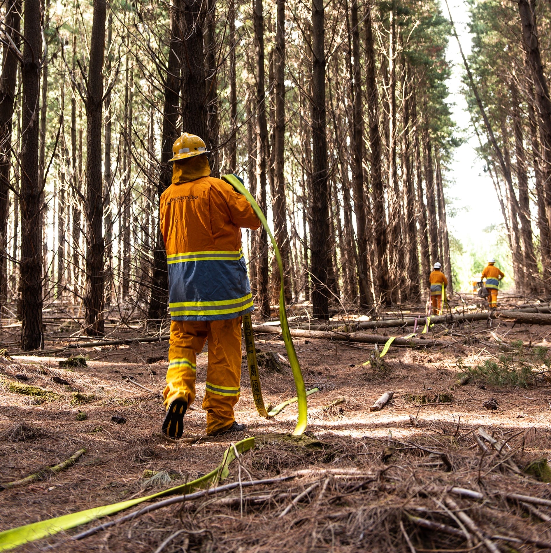 OPINION: Forestry plays key role in fire management - Tasmanian Forest ...